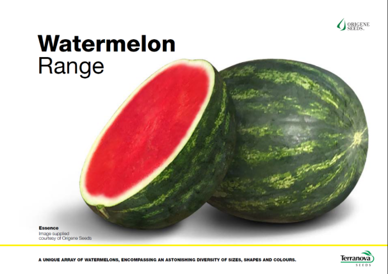 Terranova Seeds Australia – Supplying Commercial Growers with Vegetable ...